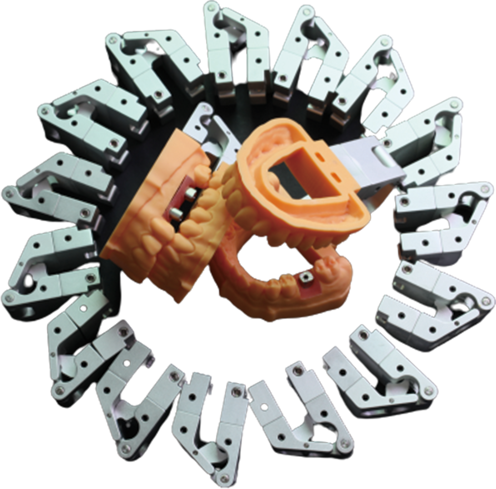 Implant Products - Bright Dental Lab